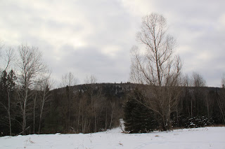 Digressions and Disappointments: Snowshoeing at Lac Philippe
