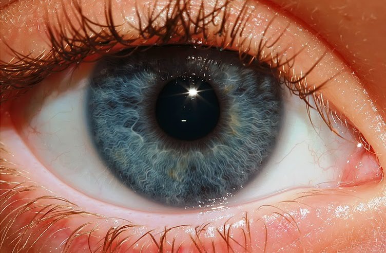 Viviendas para la Tercera Edad: Como cambia la visión del ojo cuando ...