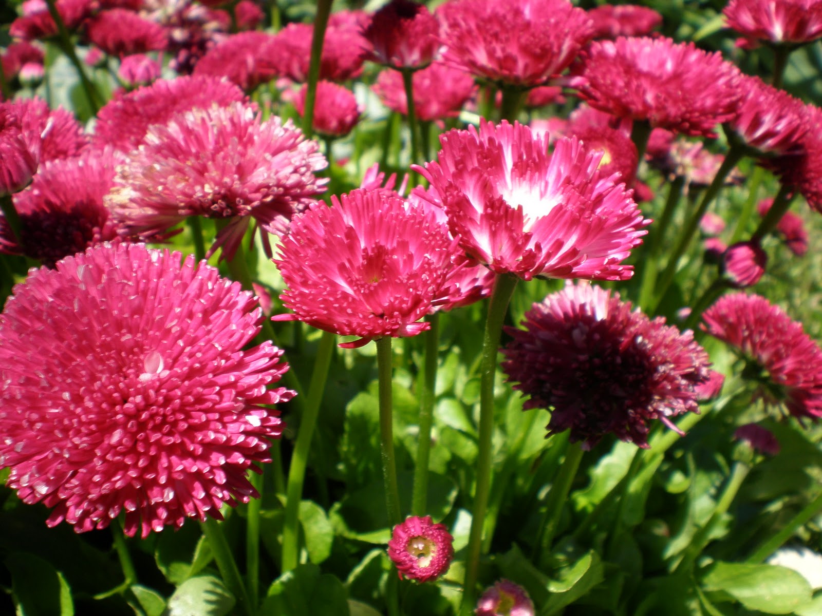 Elery multimeedium: minu suve pildid