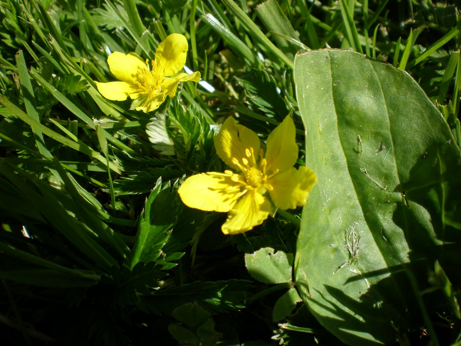 Elery multimeedium: minu suve pildid