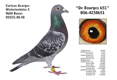 ARTIKLAR & NYHETER: Georges Carteus - Ronse "Mr Perpignan"