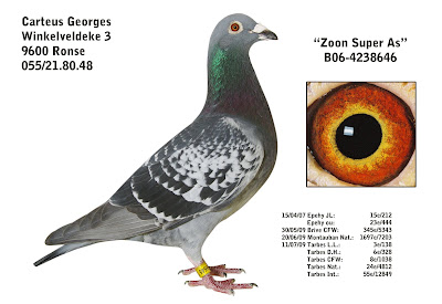 ARTIKLAR & NYHETER: Georges Carteus - Ronse "Mr Perpignan"