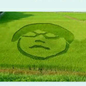 funny crop circle patterns art design |»Beautyreal-cool-art
