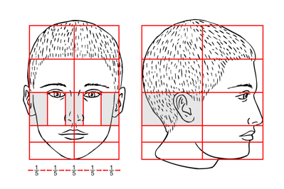 Cuaderno del Profe: Las proporciones en el rostro