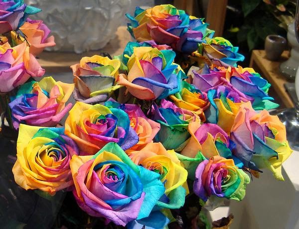 Unthink this.: How To: Grow a rainbow rose