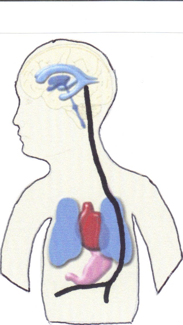 Our Life And Such: May 2010