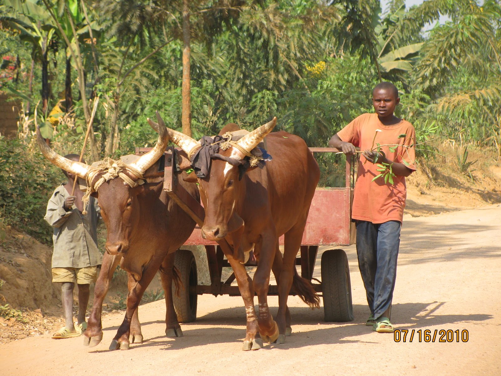 Rwanda-Gashora Girls Academy