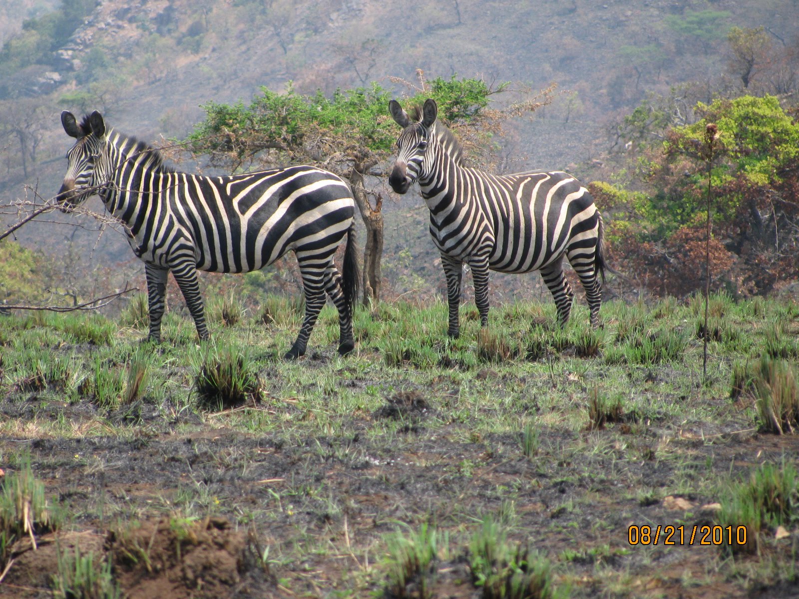 Rwanda-Gashora Girls Academy: Akagera National Park