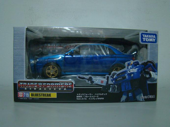 Binaltech Transformers
