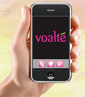 Granite State Sentinel: Frisbie Adopts iPhones for Point-of-Care ...