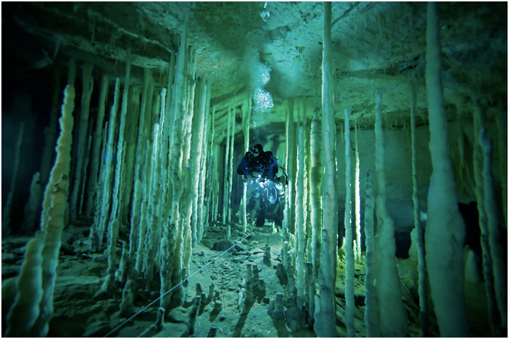 Neptune's Defenders: Bahamas Blue Holes