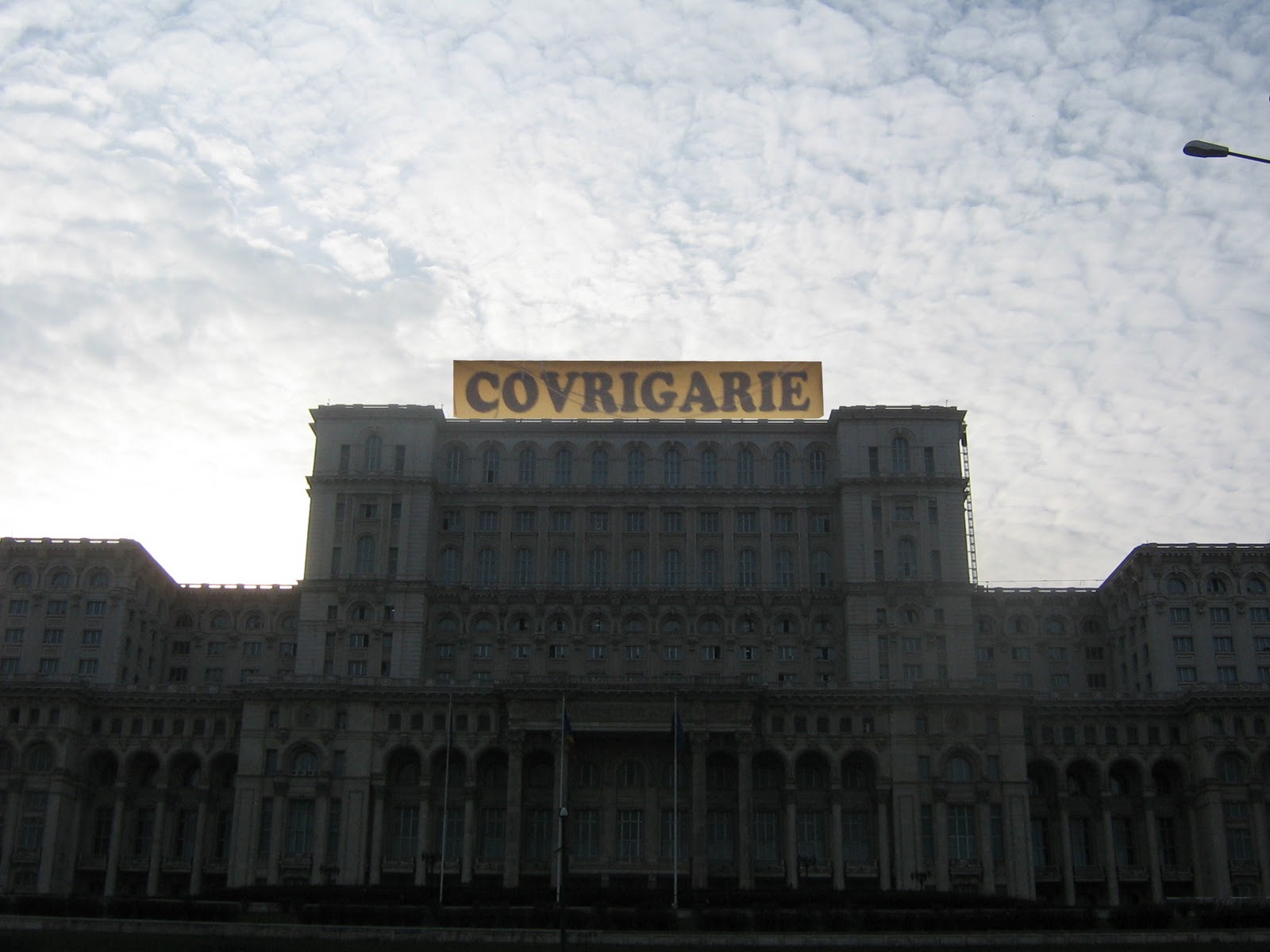 debaraua lu' niku: gaura cu covrig