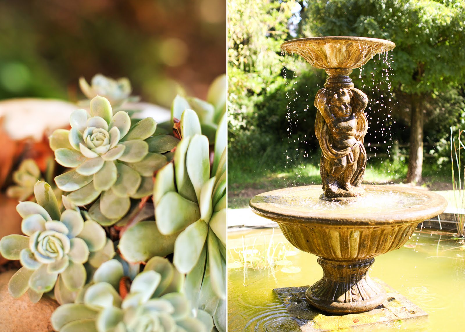 Gabriel and Carin Photography: [Simondium Country Lodge] Paarl Valley