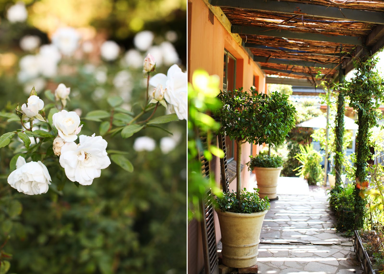 Gabriel and Carin Photography: [Simondium Country Lodge] Paarl Valley