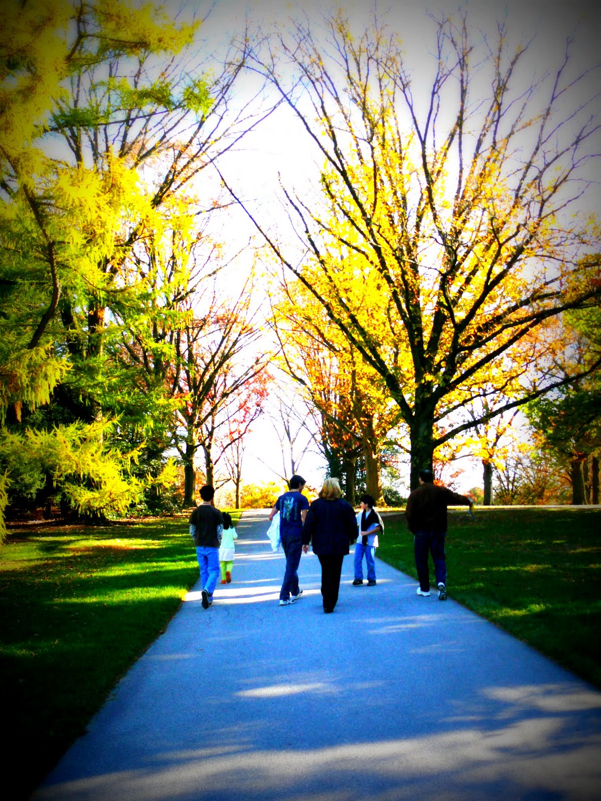 In God's Garden - Totus Tuus Family & Catholic Homeschool