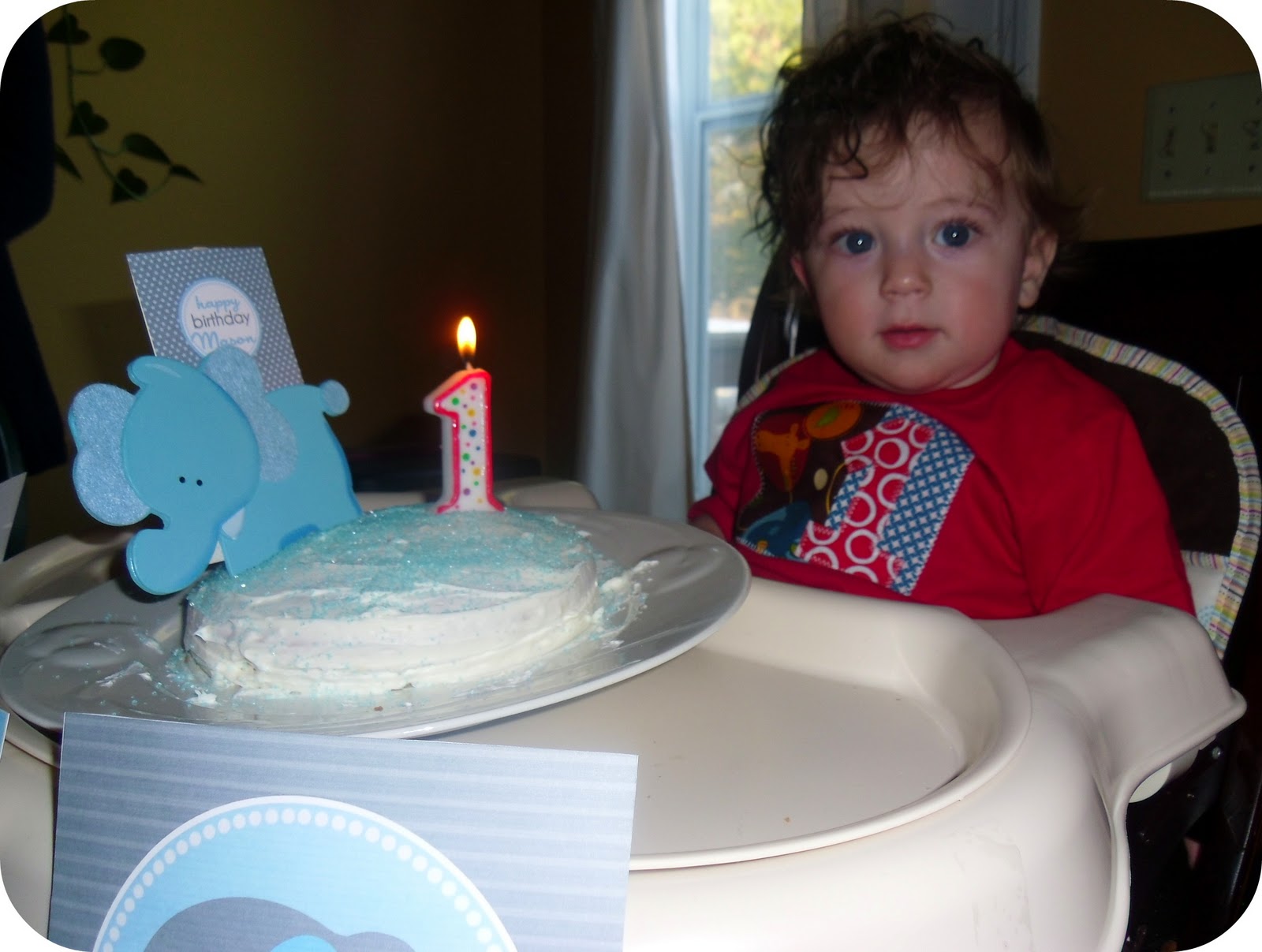 Mason's 1st Birthday: The Smash Cake - Little Us