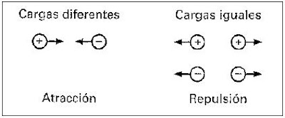 competencia: taller de preguntas
