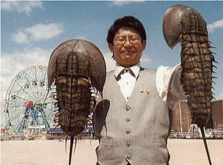 Images and Places, Pictures and Info: mongolian death worm real