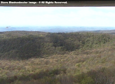 The High Knob Landform: HKL Spring Differences: Elevation + Latitude