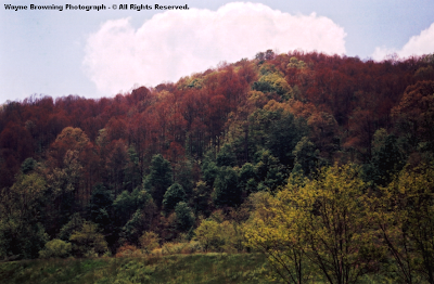 The High Knob Landform: HKL Spring Differences: Elevation + Latitude