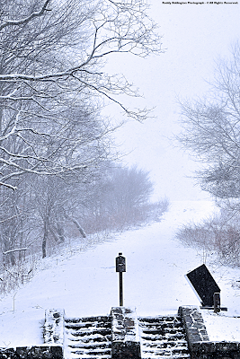 The High Knob Landform: Glorious Spring Renewal & March Madness!