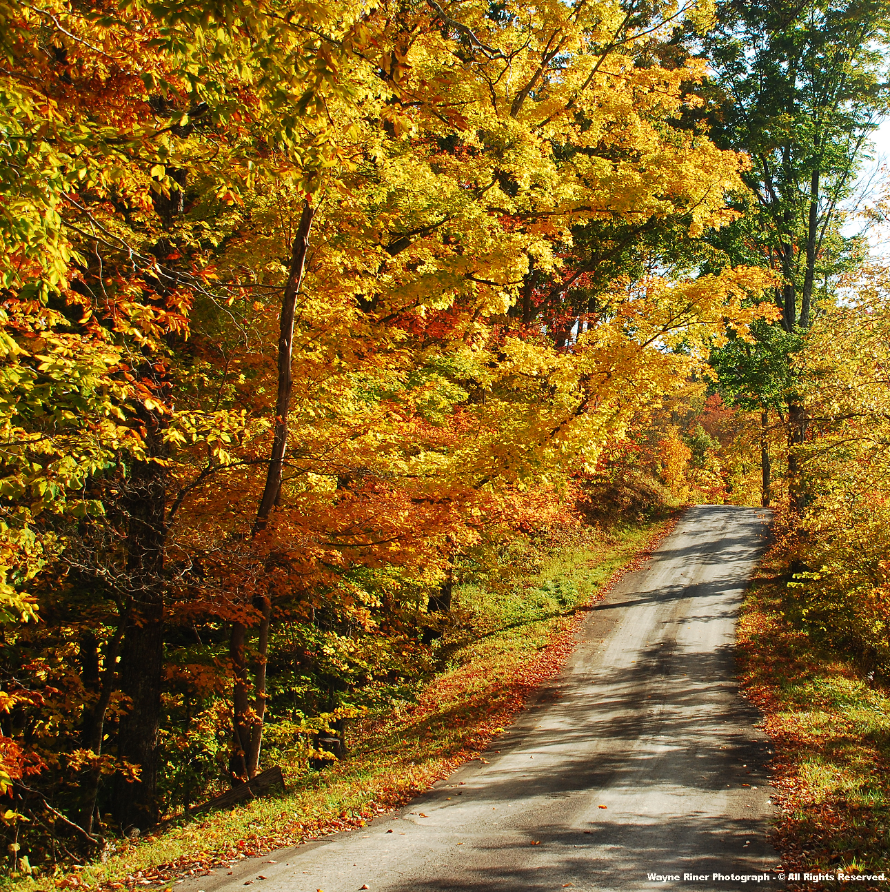 The High Knob Landform: High Knob Landform - Glorious Color Climax