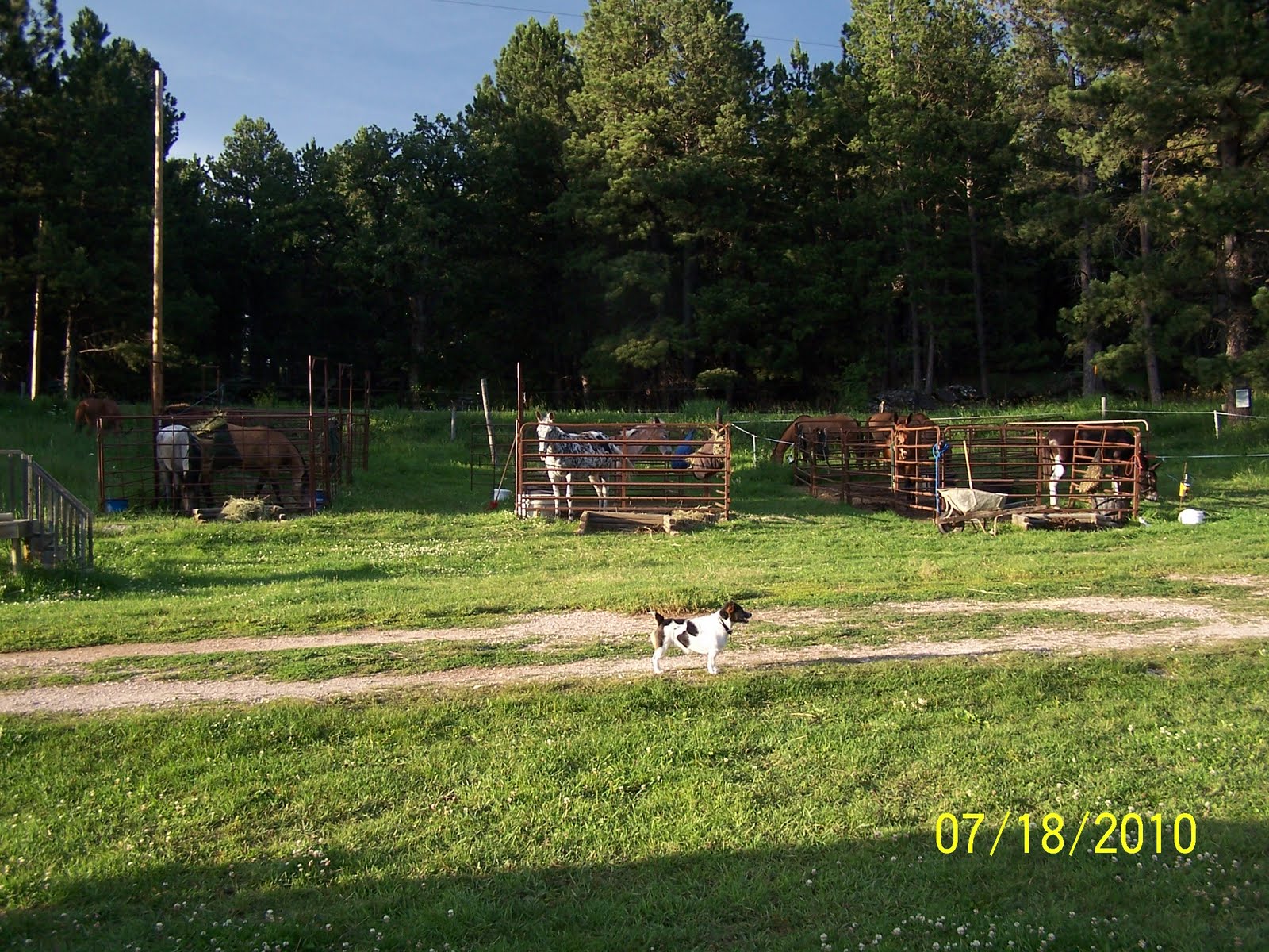 Tales of a Competitive Trail, Endruance and Pleasure Rider: SD ...