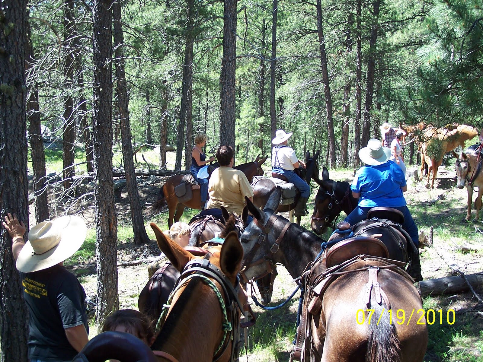 Tales of a Competitive Trail, Endruance and Pleasure Rider: SD ...