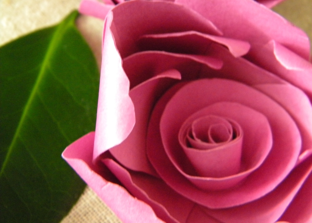 homework: The Inspiration Board: bright pink flowers