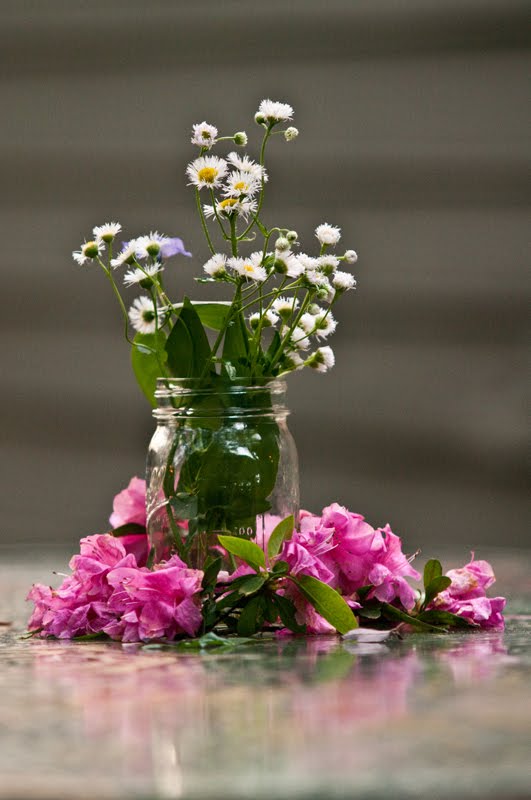 Justin Hadley Phoblography