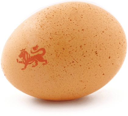 egg_Lovers: Symbolism of the Egg