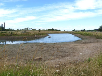 Cascade Ramblings: Adair Pond