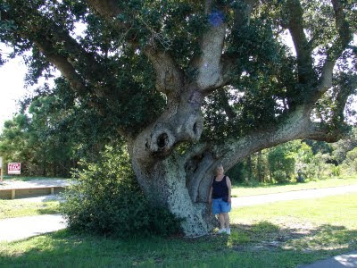 Searching for the Lost Colony : Roanoke Island Trip - Day 5