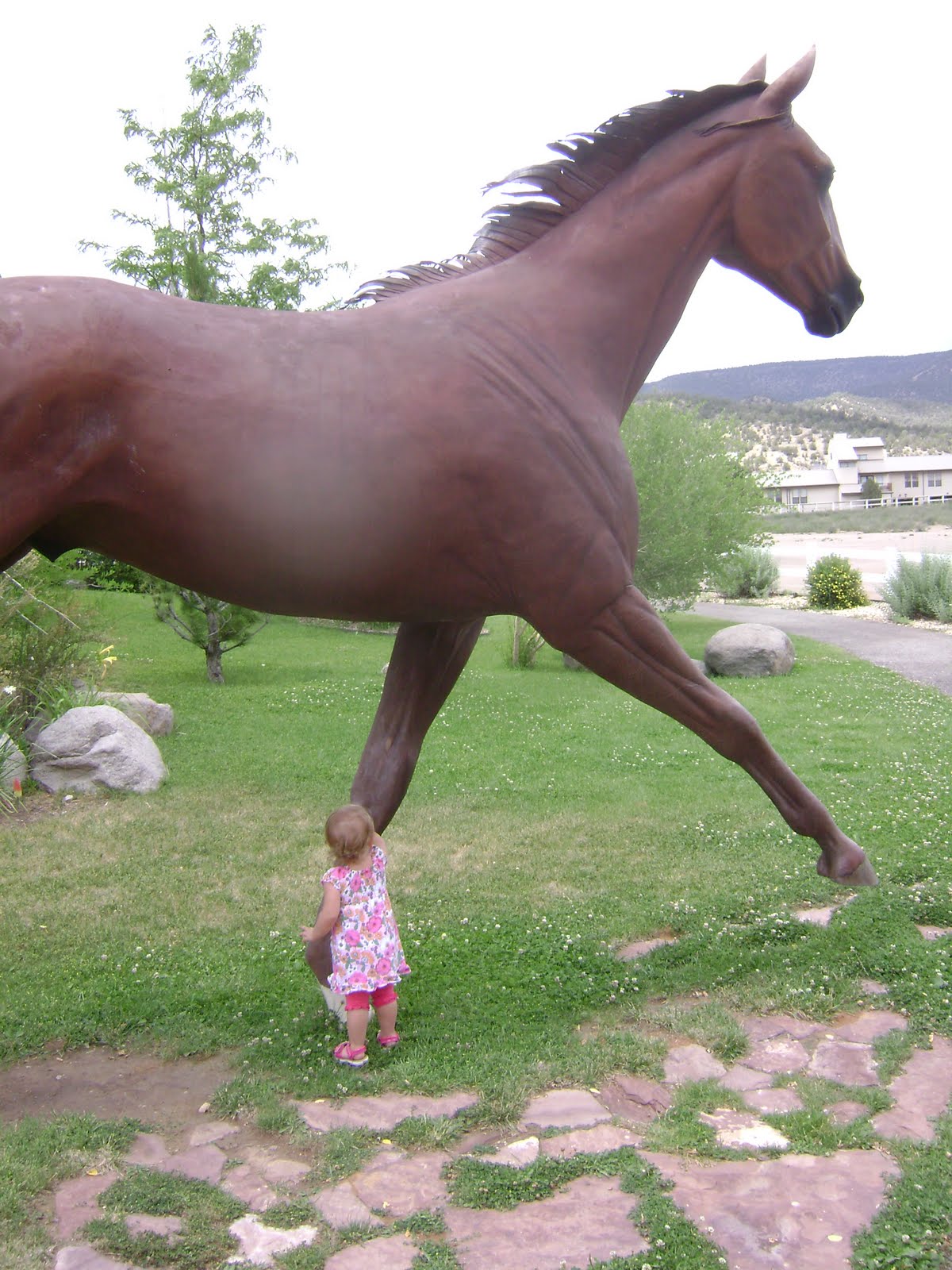 The Brauchi Experience: Giant Horses and Museum...