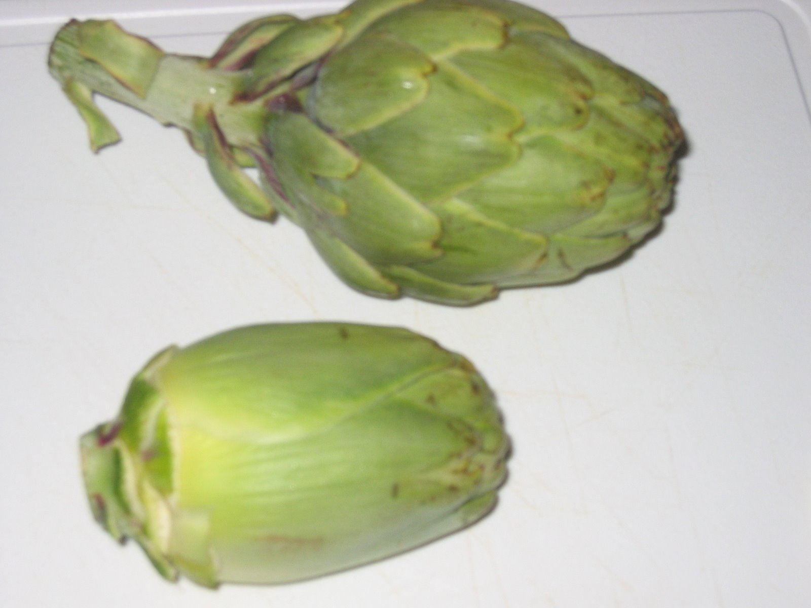 Gastronomía Kiefer: Vegetales: El Alcaucil o Alcachofa