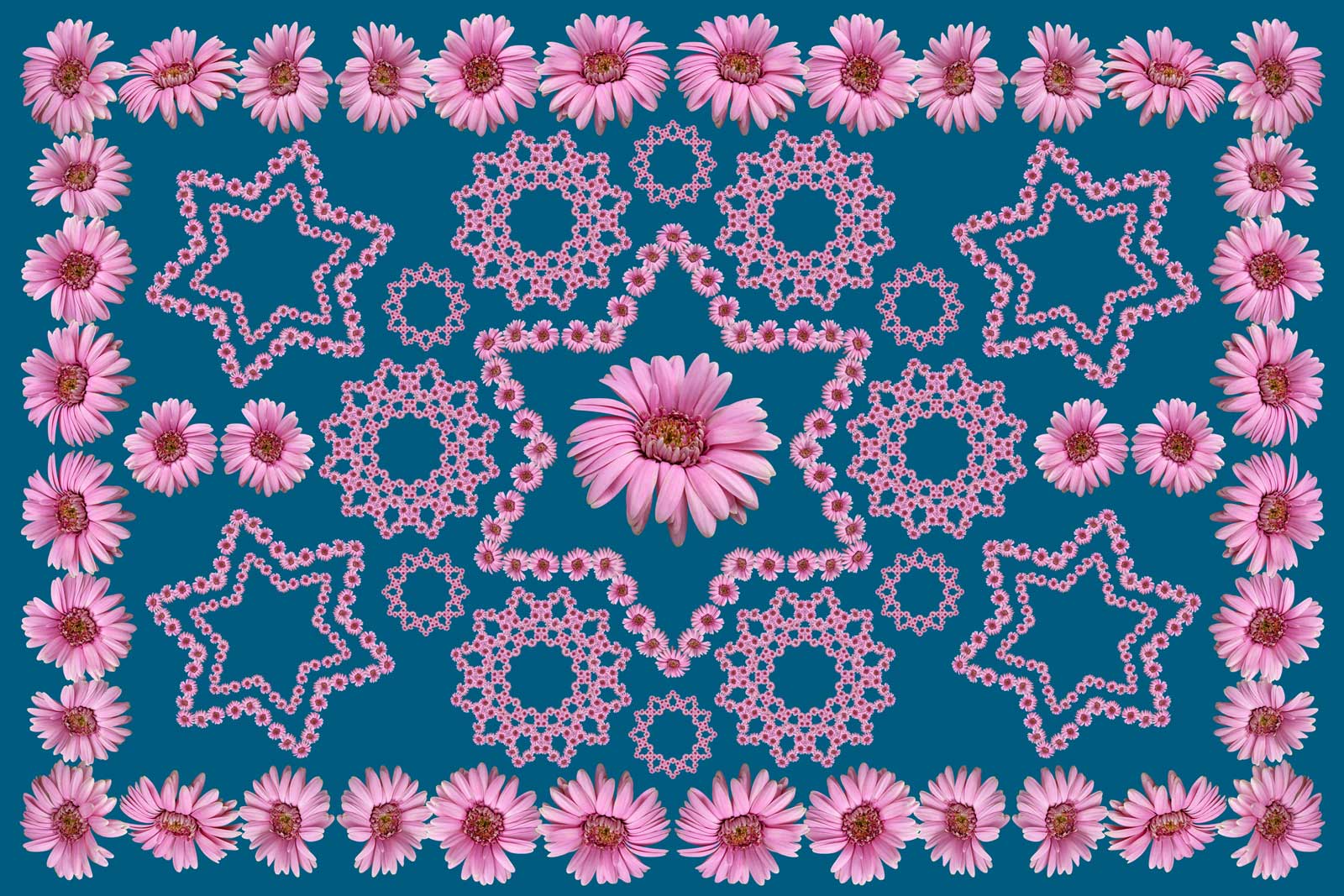 Nightblooms Process: Flower Stars