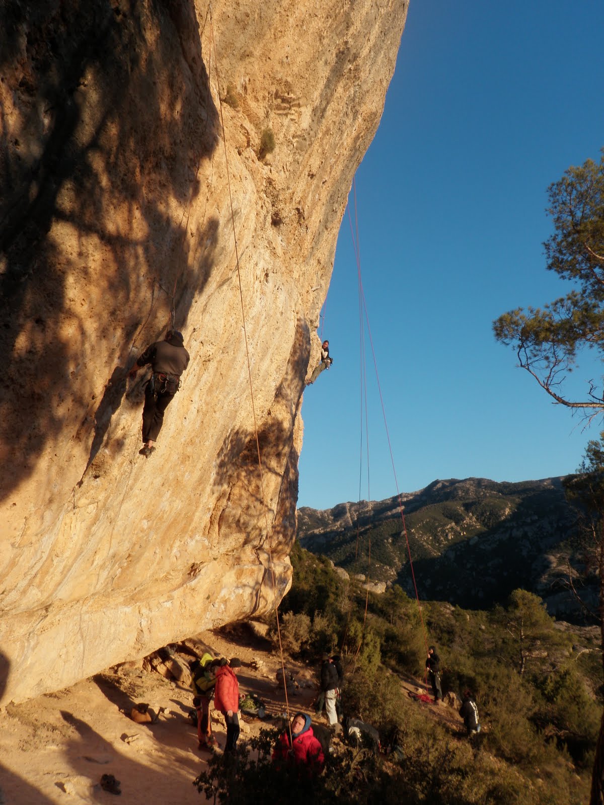 BONIS on The ROCK: MARGALEF-Lleida