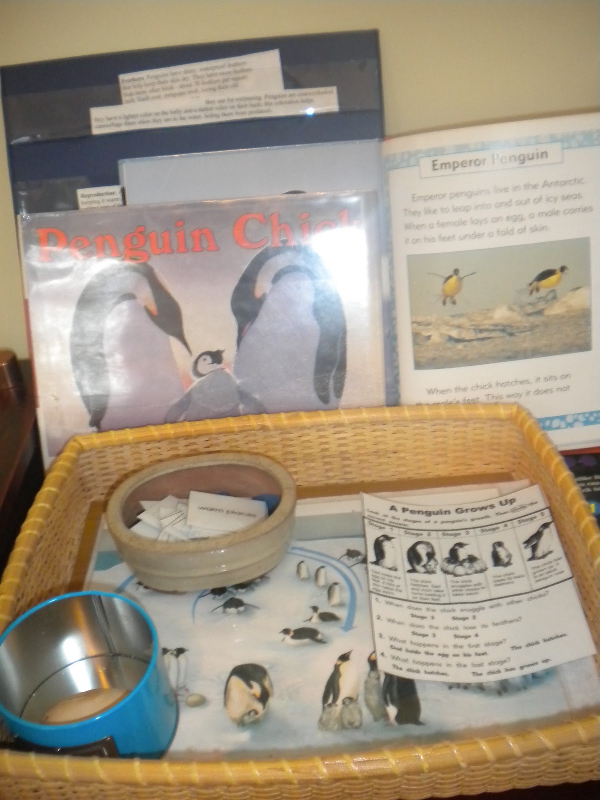 Earth Friendly Mama: Winter and Penguin Activities