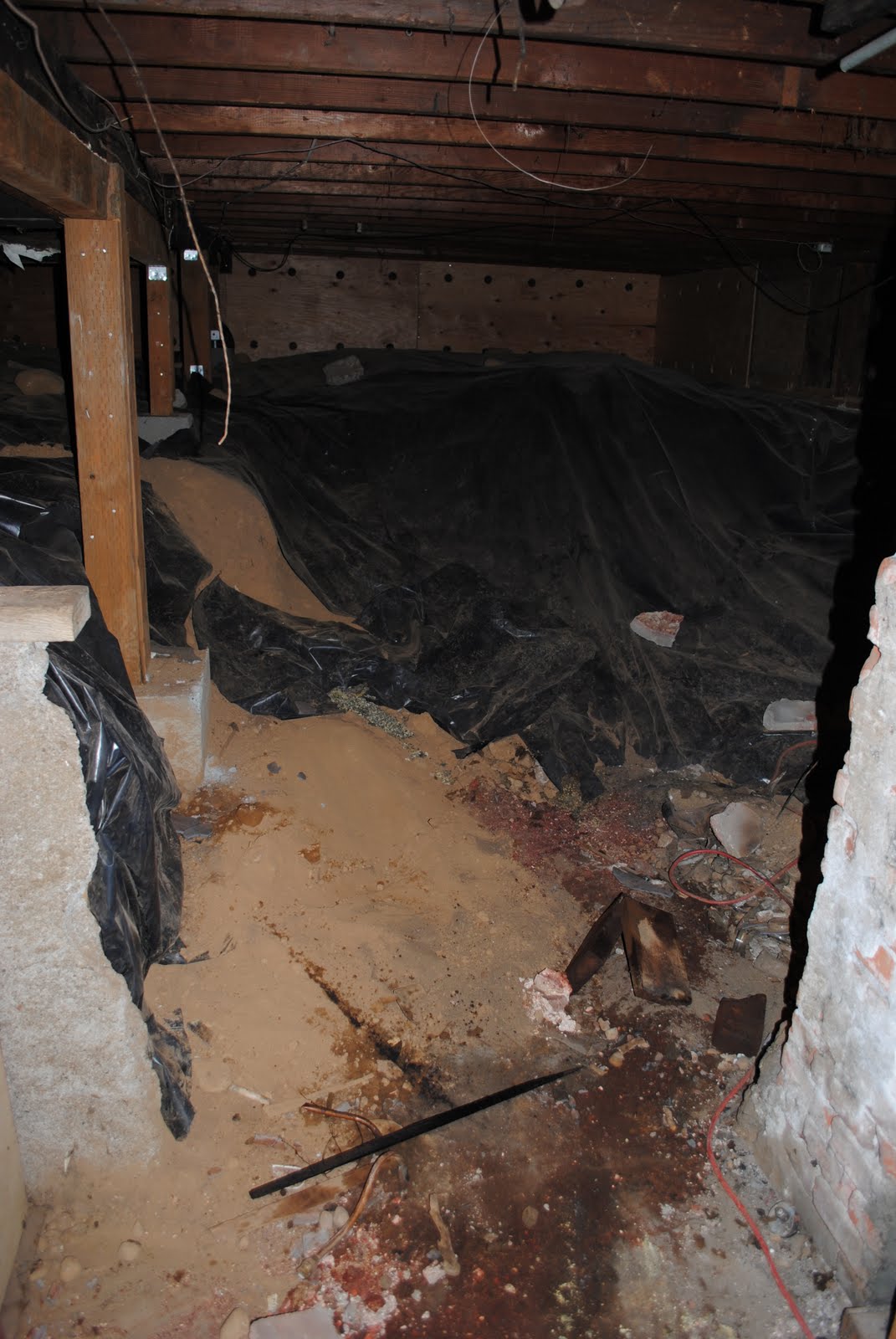 Loftis Manor Adventures: Scary scary basement pictures