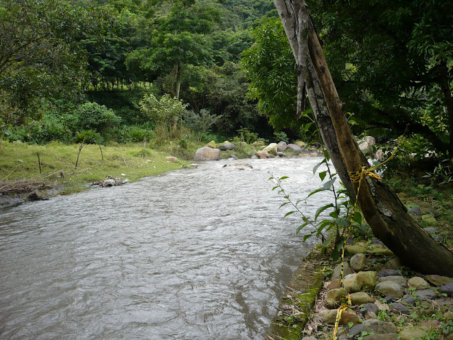 SENA TEXTIL: EL TRABAJO COMO REALIZACION HUMANA " GEOVANNY GOMEZ"