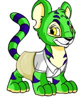 Neopet's Neonet