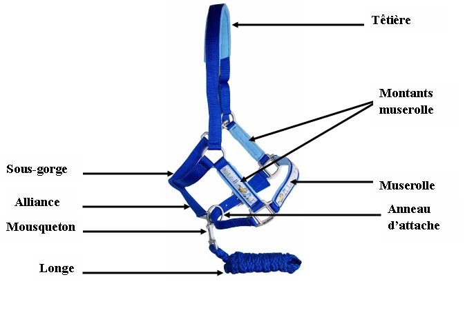 aidegalop: 1) Les différentes parties du harnachement