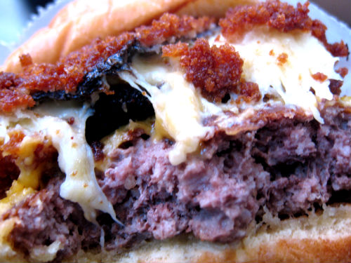 Han + Diana Eats! A Food Blog: The Shack Stack at The Shake Shack