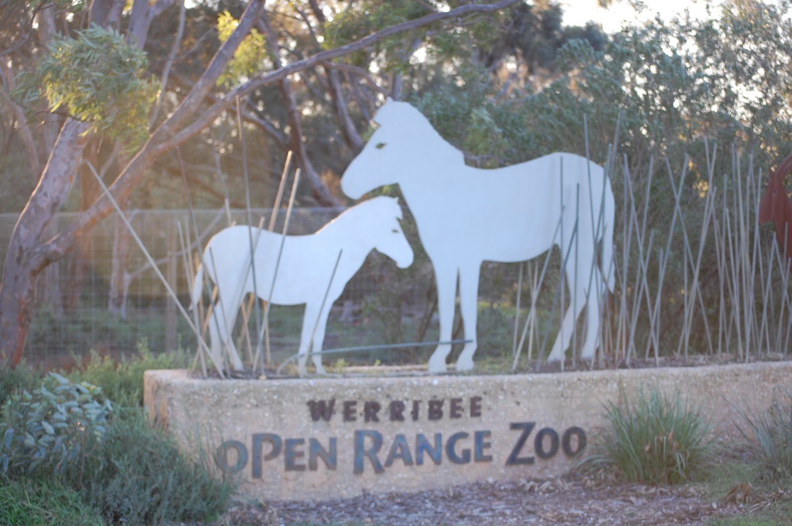 Real Life of an Expat Wife: Werribee Open Range Zoo
