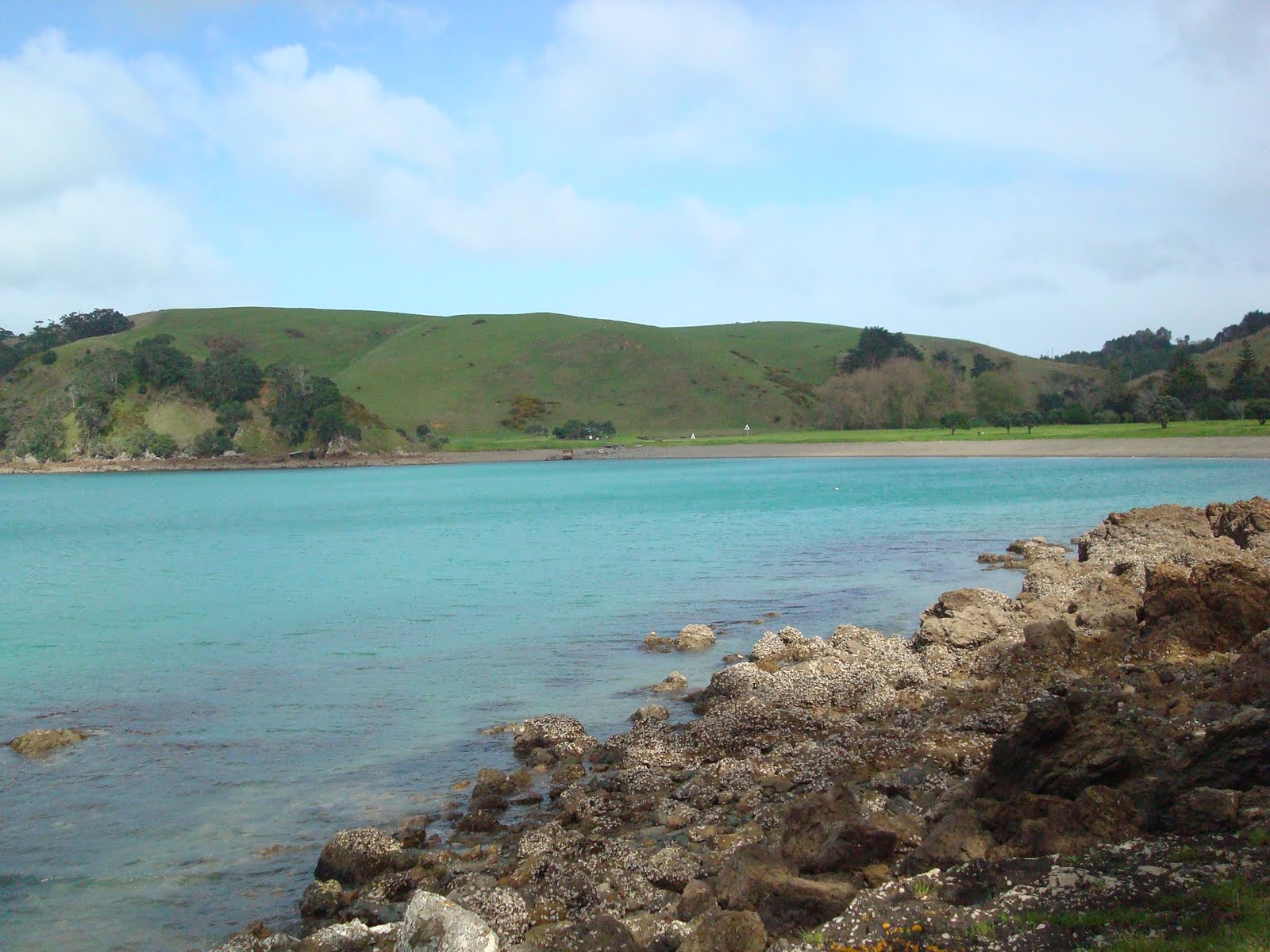 There and back again: a wanderer's tale: Motutapu - Restoration in action