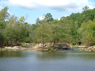 Triangle Naturalist: Sennett's Hole - West Point on the Eno (Durham, NC)