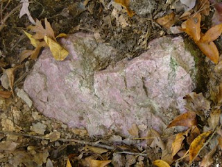 Triangle Naturalist: West Point on the Eno (Durham, NC)