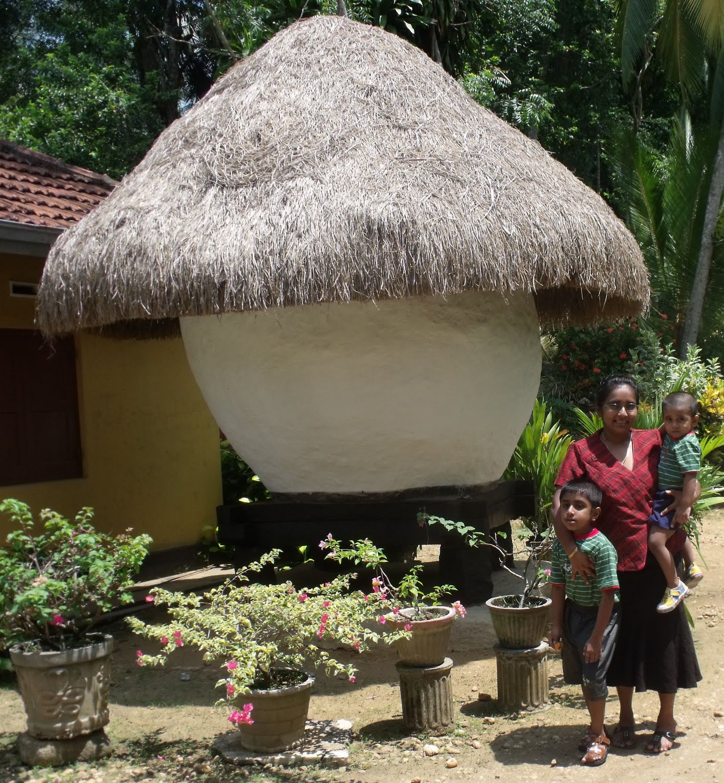 philipveerasingam: 'Wee bissa' - Paddy store, Atale. Sri Lanka.