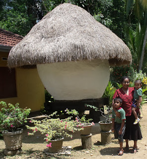 philipveerasingam: 'Wee bissa' - Paddy store, Atale. Sri Lanka.