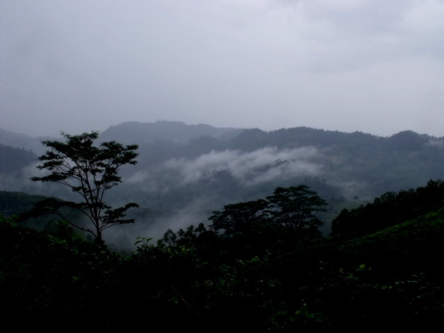 Images of Sri Lanka on blogspot.com: Galaboda, Rathnapura, Sri Lanka.